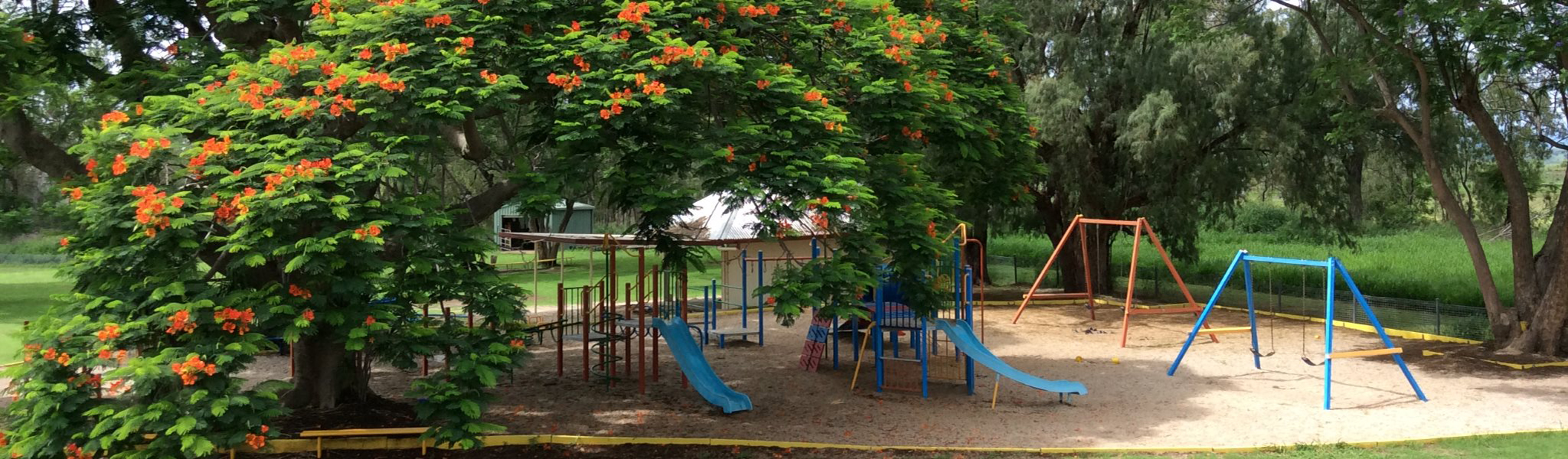 Tent Hill Lower State School